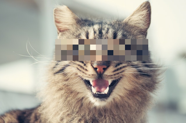 Pixelate A JPG Picture Online JPG Tools